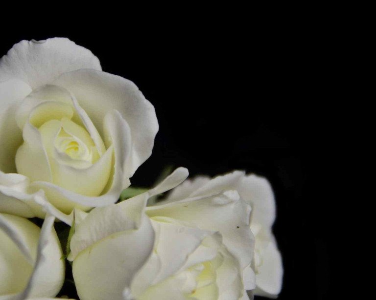 Memorial Photo Gifts to Remember a Loved One