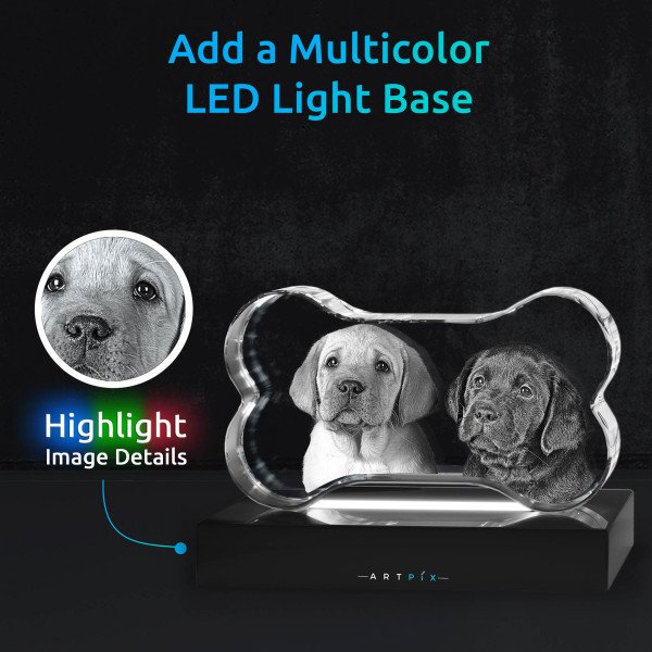 Custom 2D Dog Bone Keepsake With Engraving